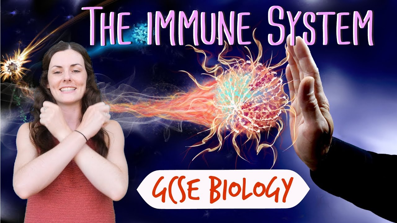 The immune system - GCSE Biology (Revision for 2020) - YouTube