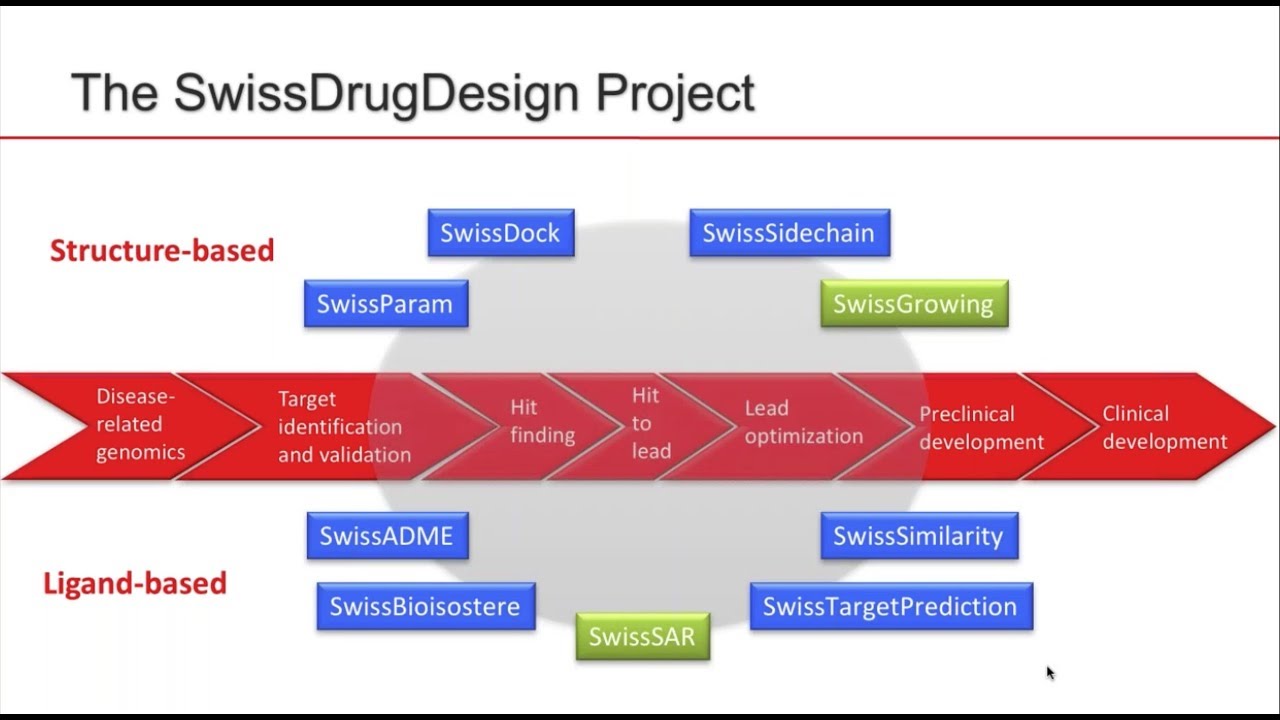 SwissDrugDesign a free web based environment for docking, virtual ...