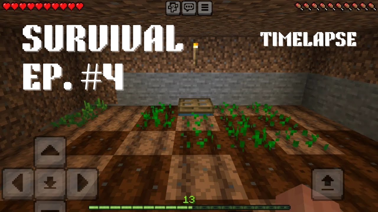 Minecraft | Survival Gameplay Episode 4 (Building Indoor Farm) - YouTube