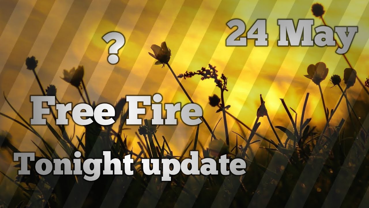 Free Fire Tonight update 🎯🎯 - YouTube
