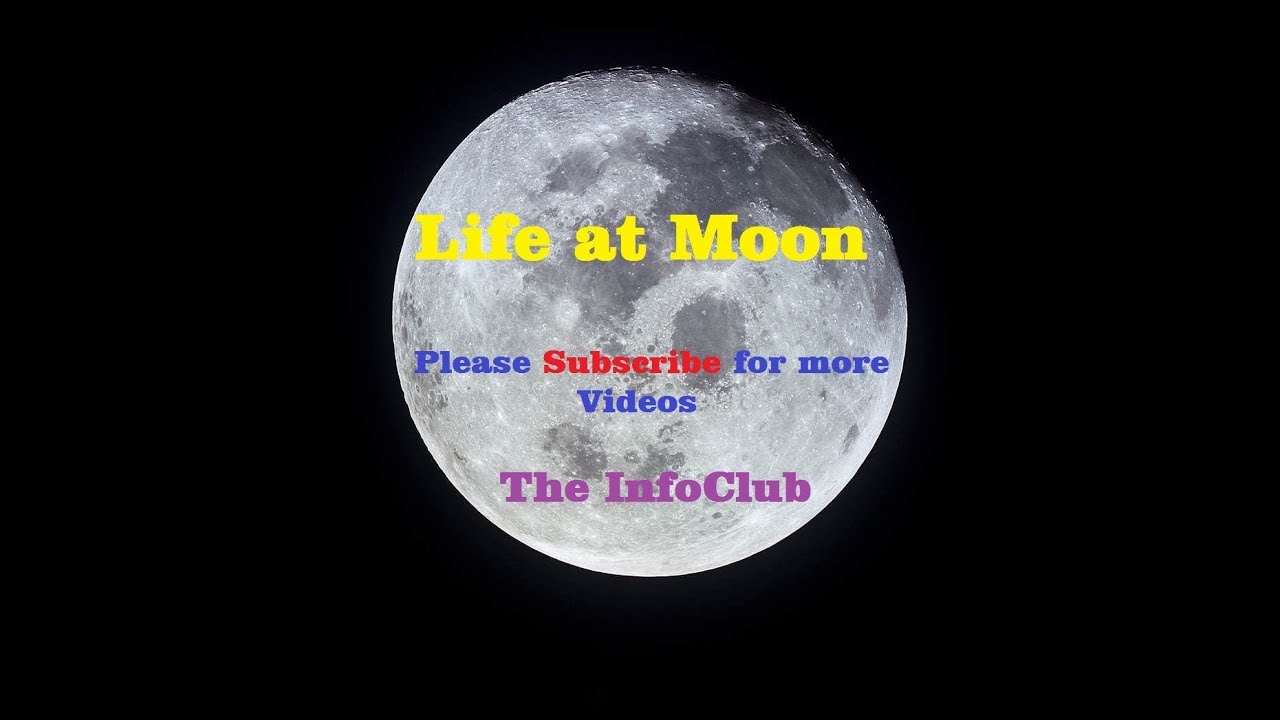 Life at Moon. A study Reveals that Life at Moon existed Billions of ...