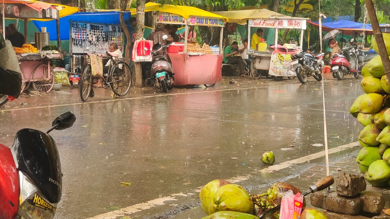 Barish Ma Dab pani Ka Sal Bhout Kam Hai - YouTube