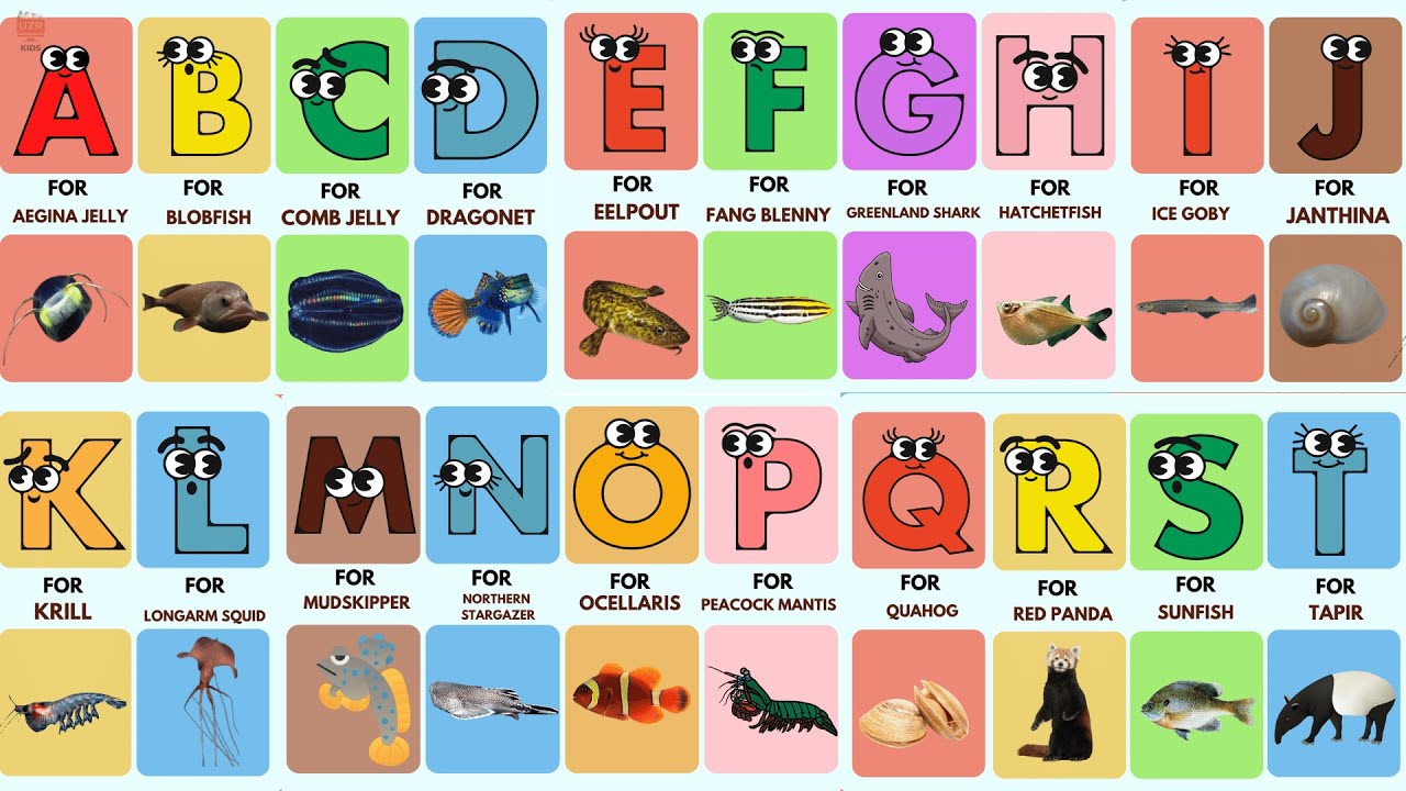 A to Z Sea Animal Phonics Song for Kids 🐠🦑 | Rare Ocean Creatures ABC ...