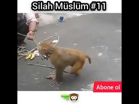ANTEP DUBLAJ SİLAH MÜSLÜM