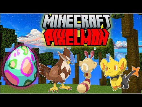 Hatching SHINY Egg! PokeFind Minecraft Pixelmon - YouTube