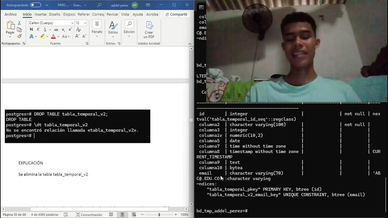 EXPLICACION BASICA POSTGRES - YouTube