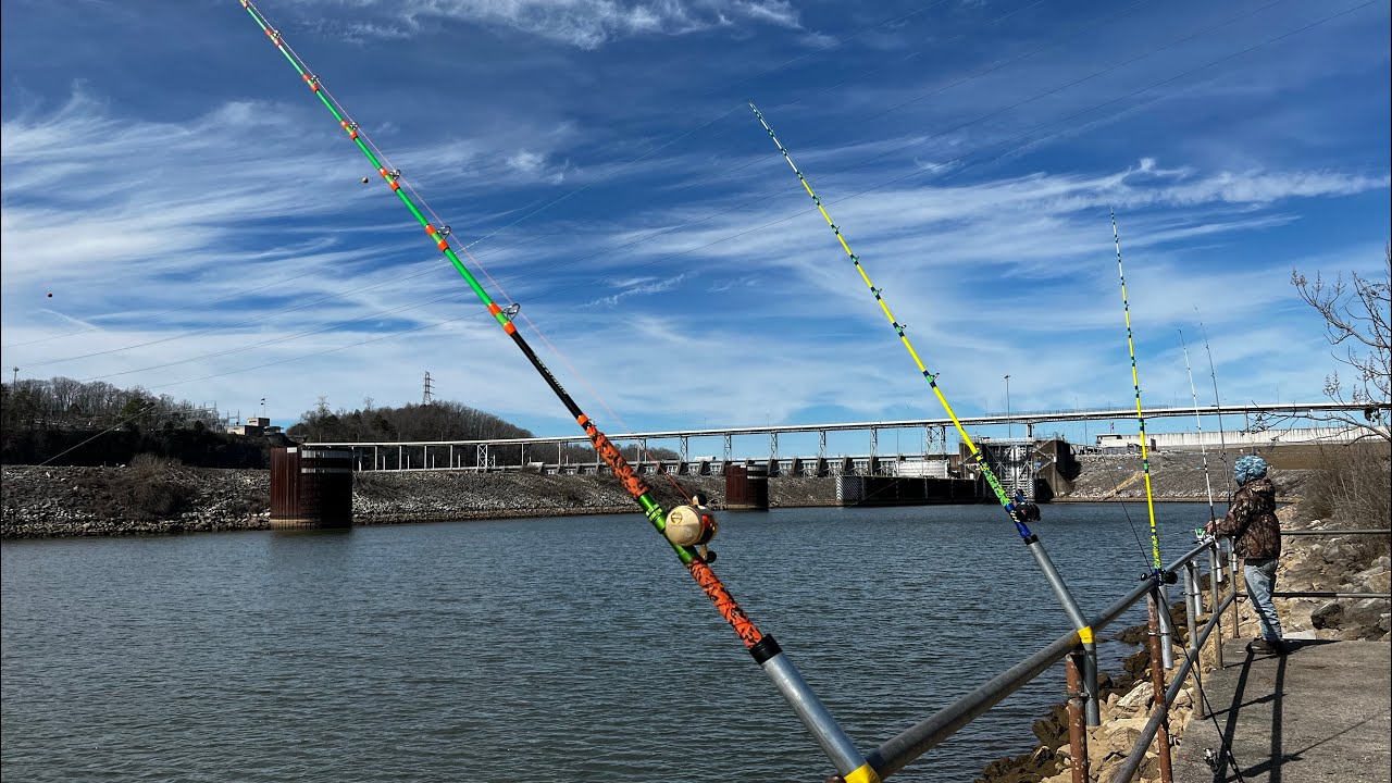 SPILLWAY FISHING for whatever we can catch! (Winter Fishing) - YouTube