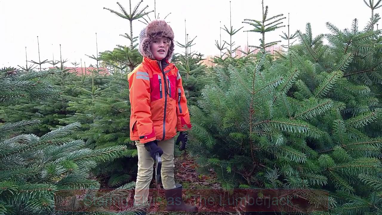 Christmas Tree 2015 The Movie - YouTube