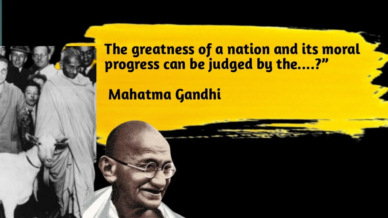 Gandhi quotes for animals| Gandhi love for animals| Gandhi Wisdom words ...
