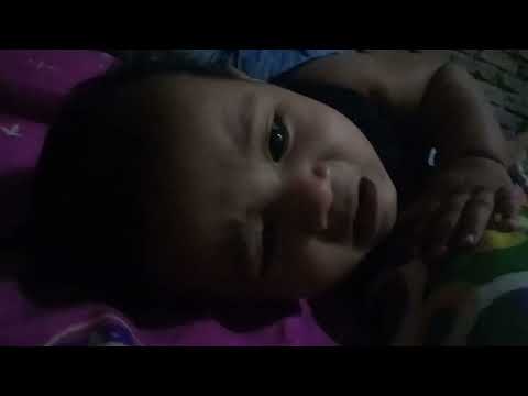 ADEK LALA