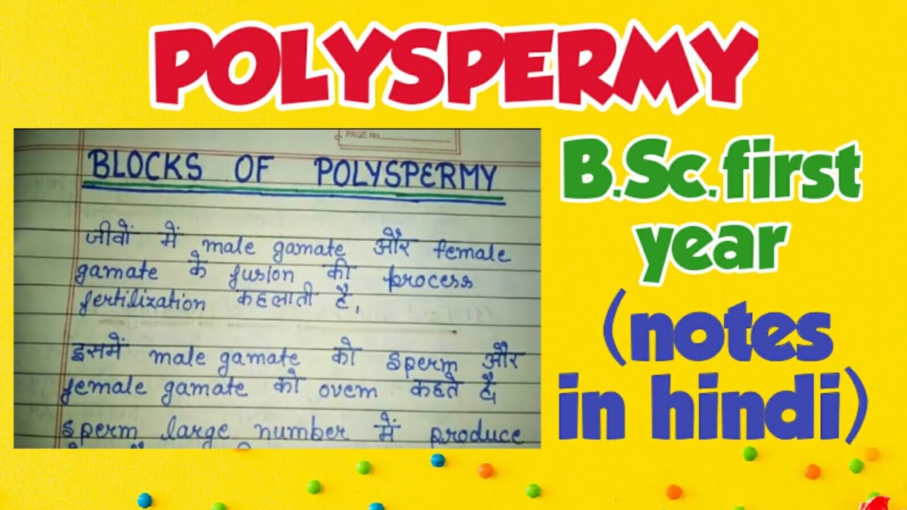 polyspermy (fast and slow blocks of polyspermy) in hindi - YouTube