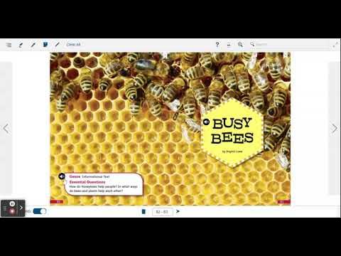 Open Court Unit 4 Week 4 Busy Bees - YouTube