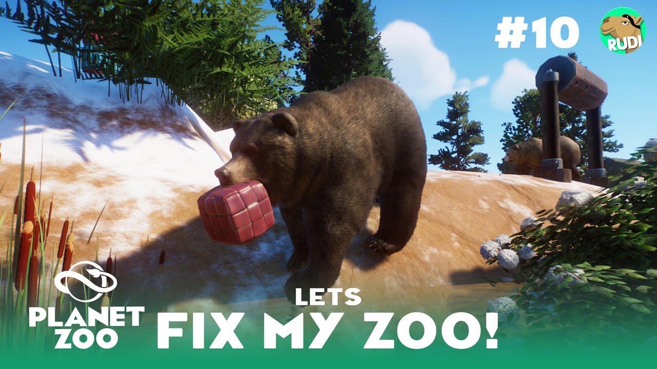 How bear you - Lets fix my zoo - Planet Zoo Beta Lets Play - YouTube