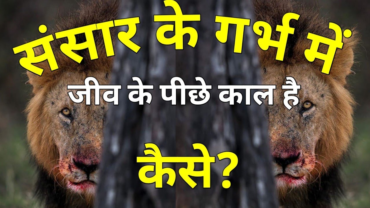 Gaj grah Ki Katha | In Hindi Song | Bhagwan Krishna Ki Katha | Gajendra ...