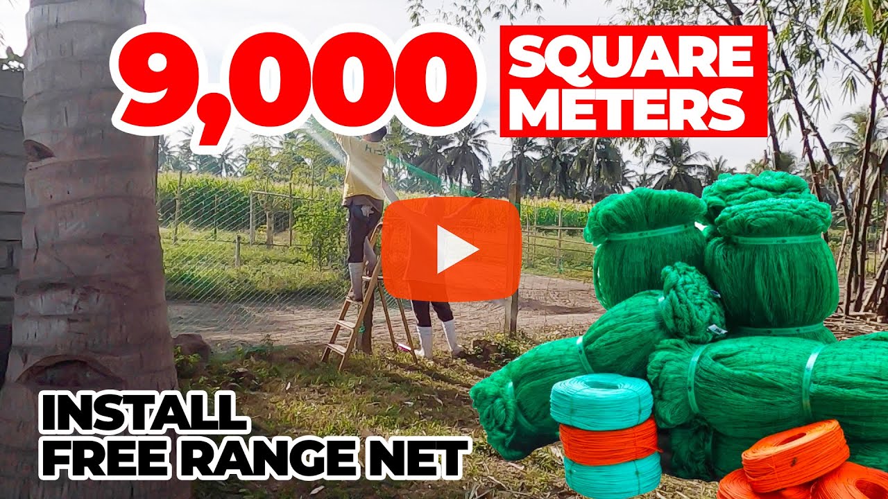 FREE RANGE NET INSTALLATION - YouTube