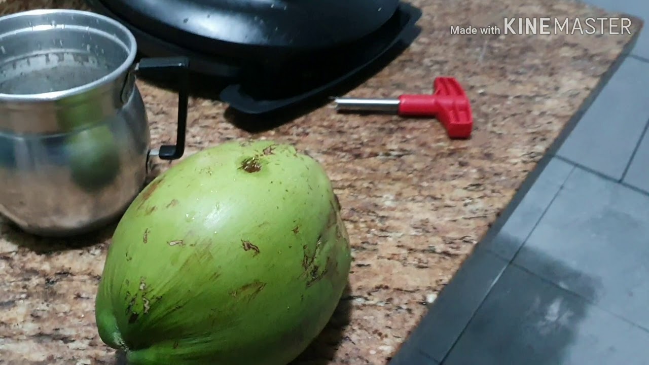 Como abrir coco verde usando abridor. - YouTube