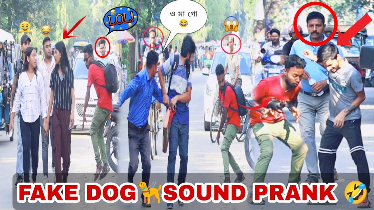 FAKE DOG 🦮SOUND PRANK 🤣//funny reaction 😂!!@dustukhokapranks - YouTube