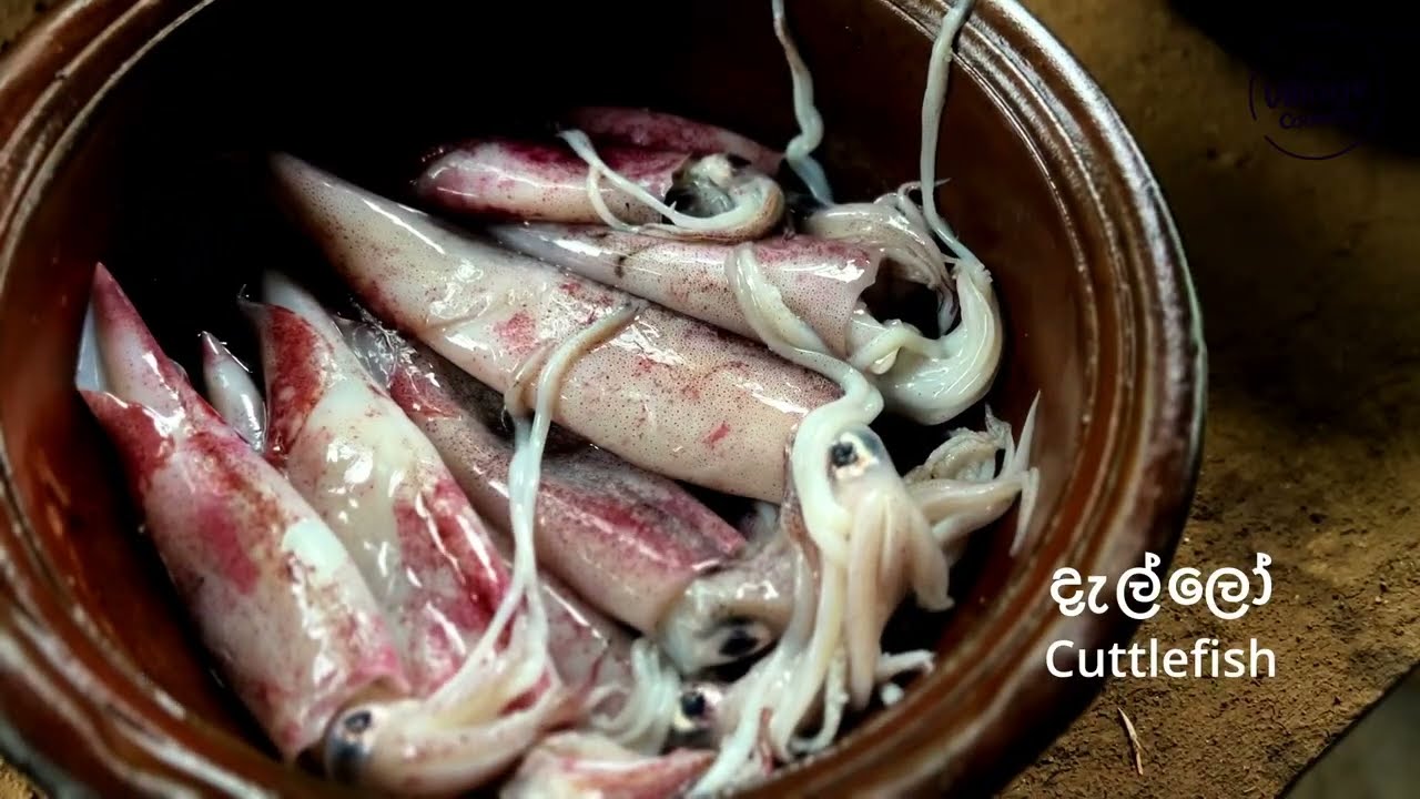 Devilled Cuttlefish | දැල්ලෝ | Village Cooking | Traditional Recipes ...