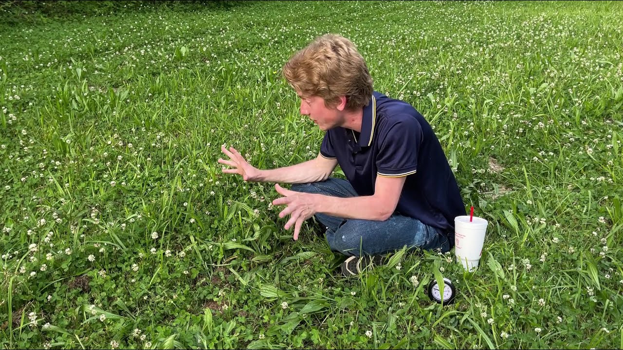 Watching Grass Grow For 1 Hour Because It’s More Entertaining Than 98. ...