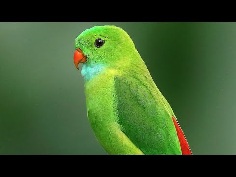 NEW MONTH BLESSINGS BY AMARACHI EZE. - YouTube