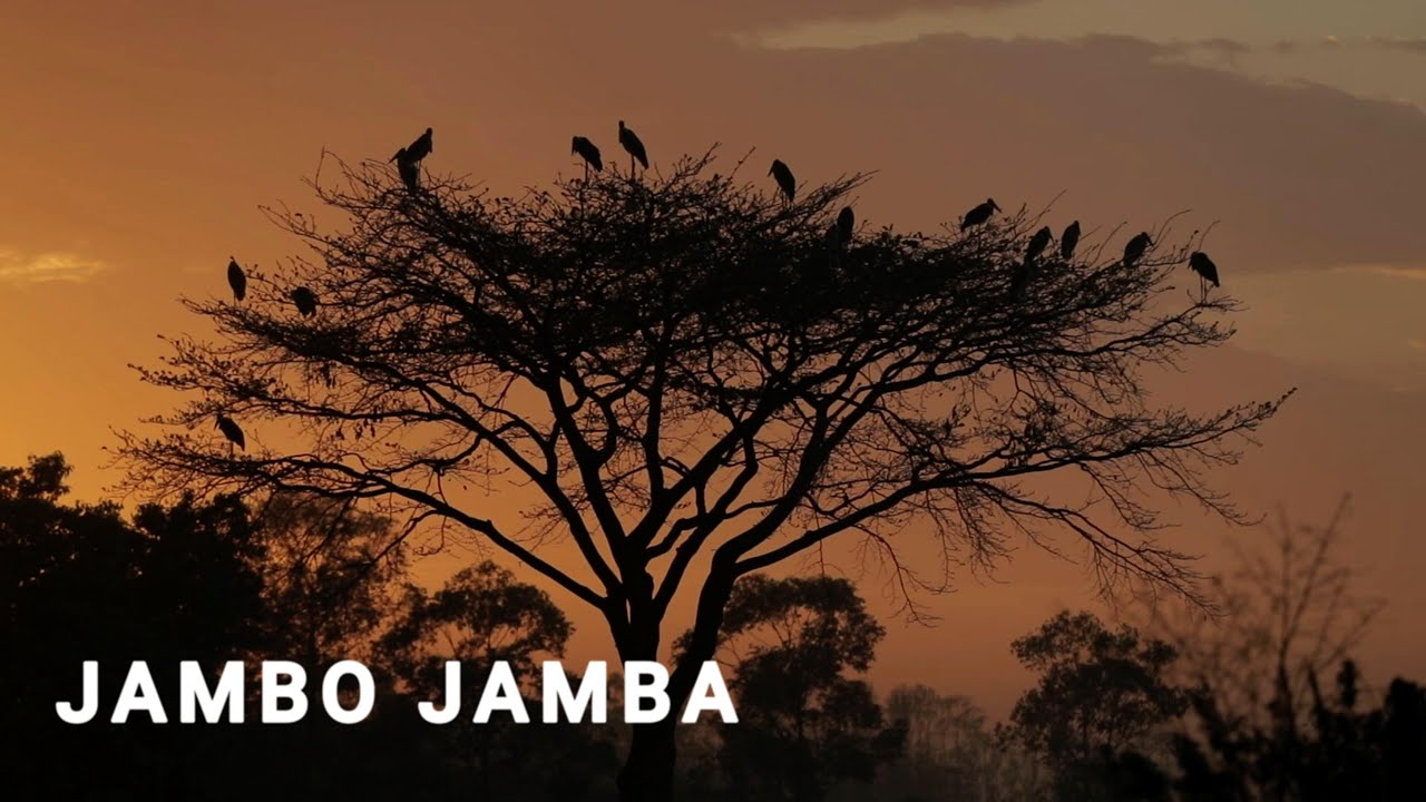 Jambo Jamba Africa Official Music Video - YouTube