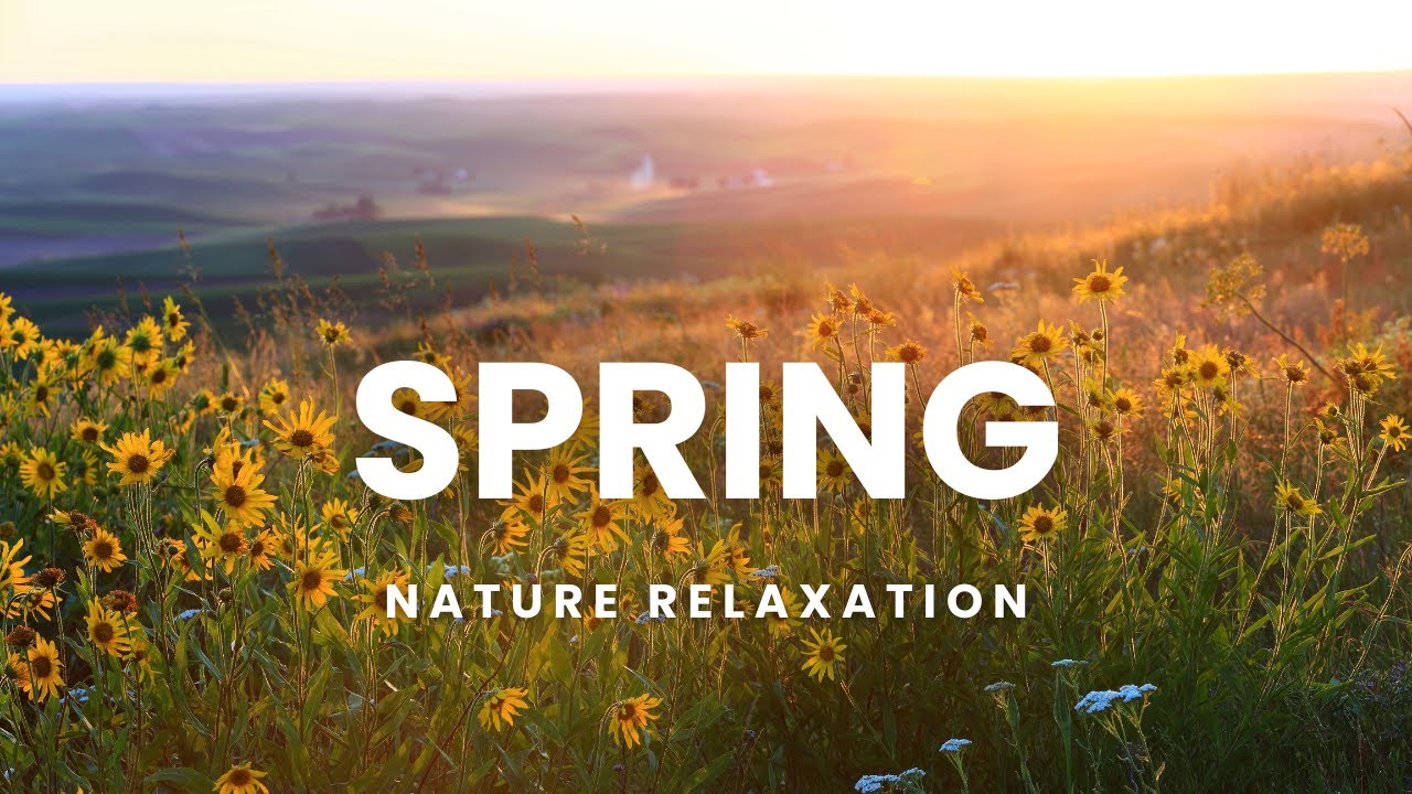 SPRING NATURE RELAXATION | BEAUTIFUL PIANO MUSIC - YouTube