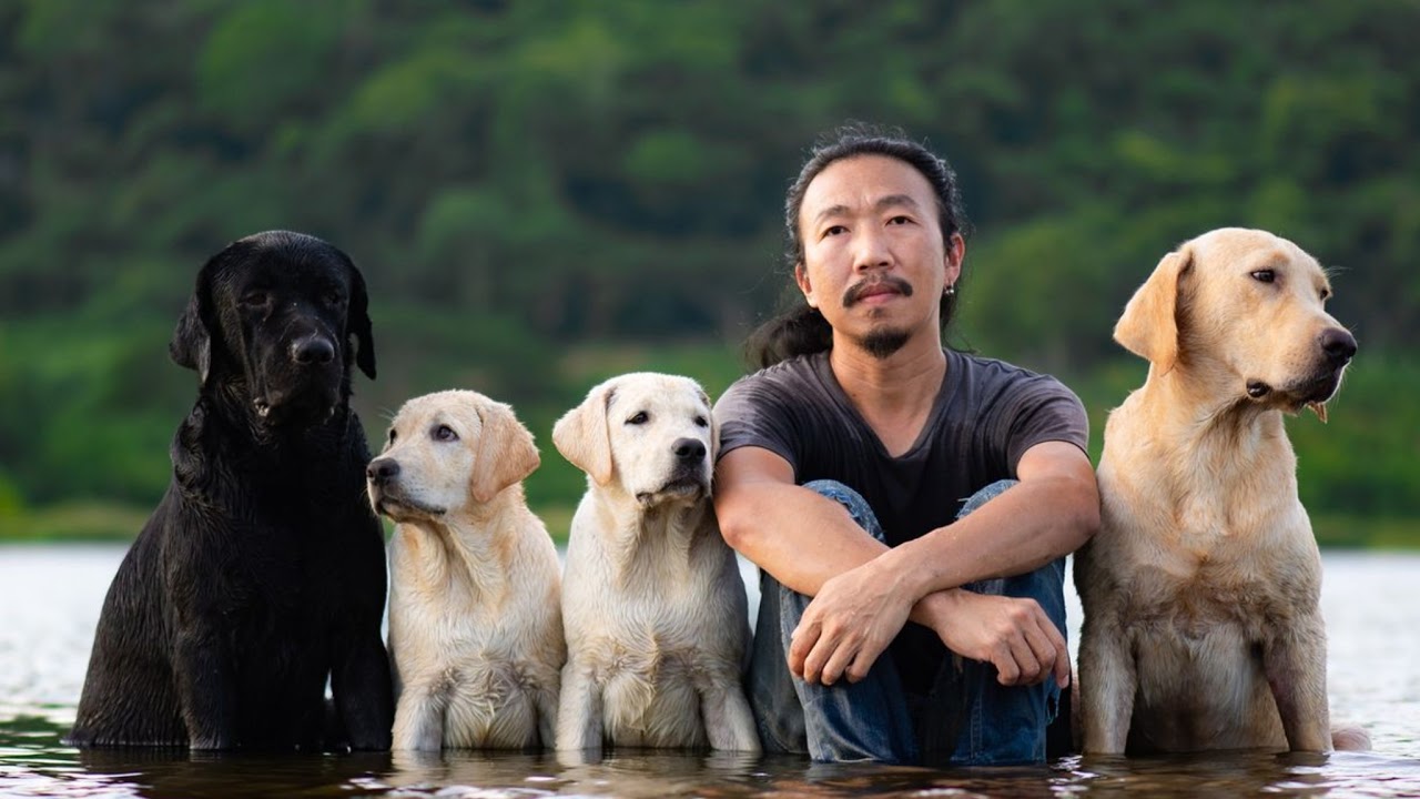 Kai Cai Live Stream - YouTube