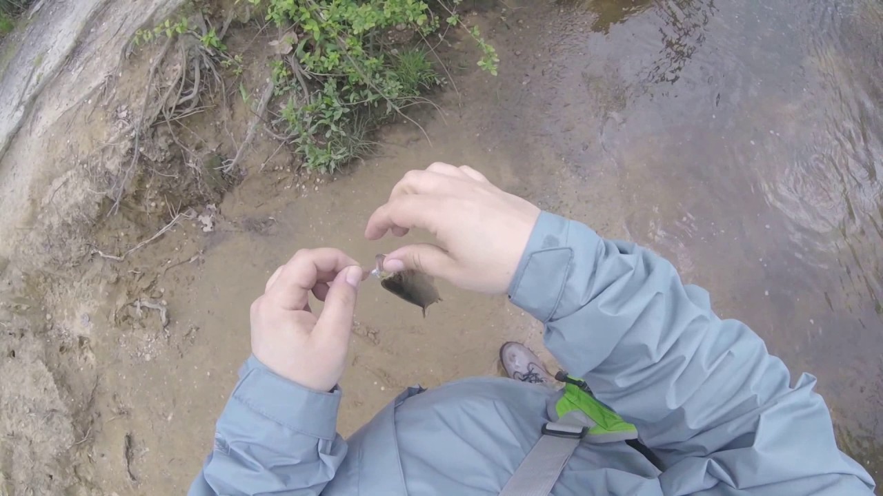Fishing the Carmans river historical site. First Trout ever. - YouTube