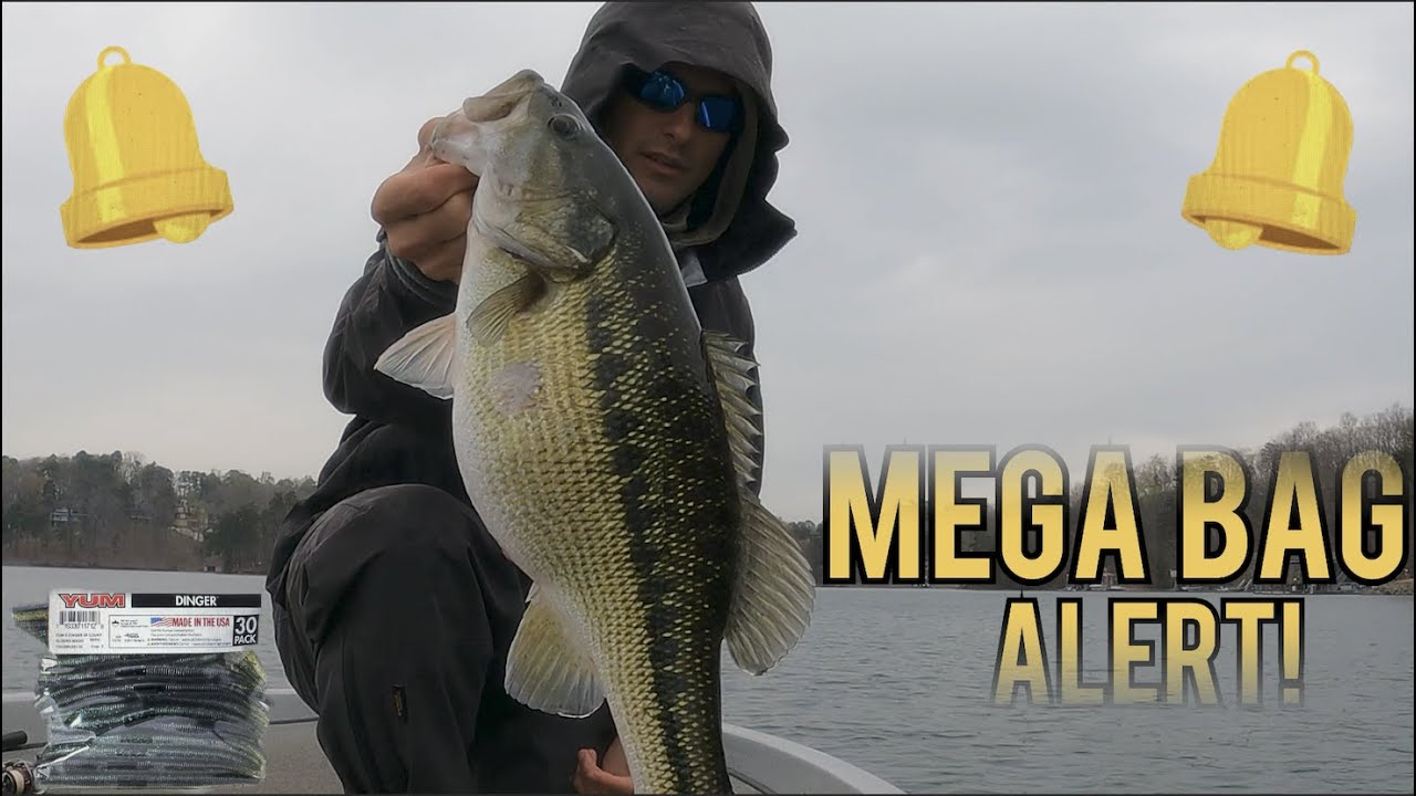 Ring the Dinger Bell! 19LB Bag on Lake Lanier - YouTube