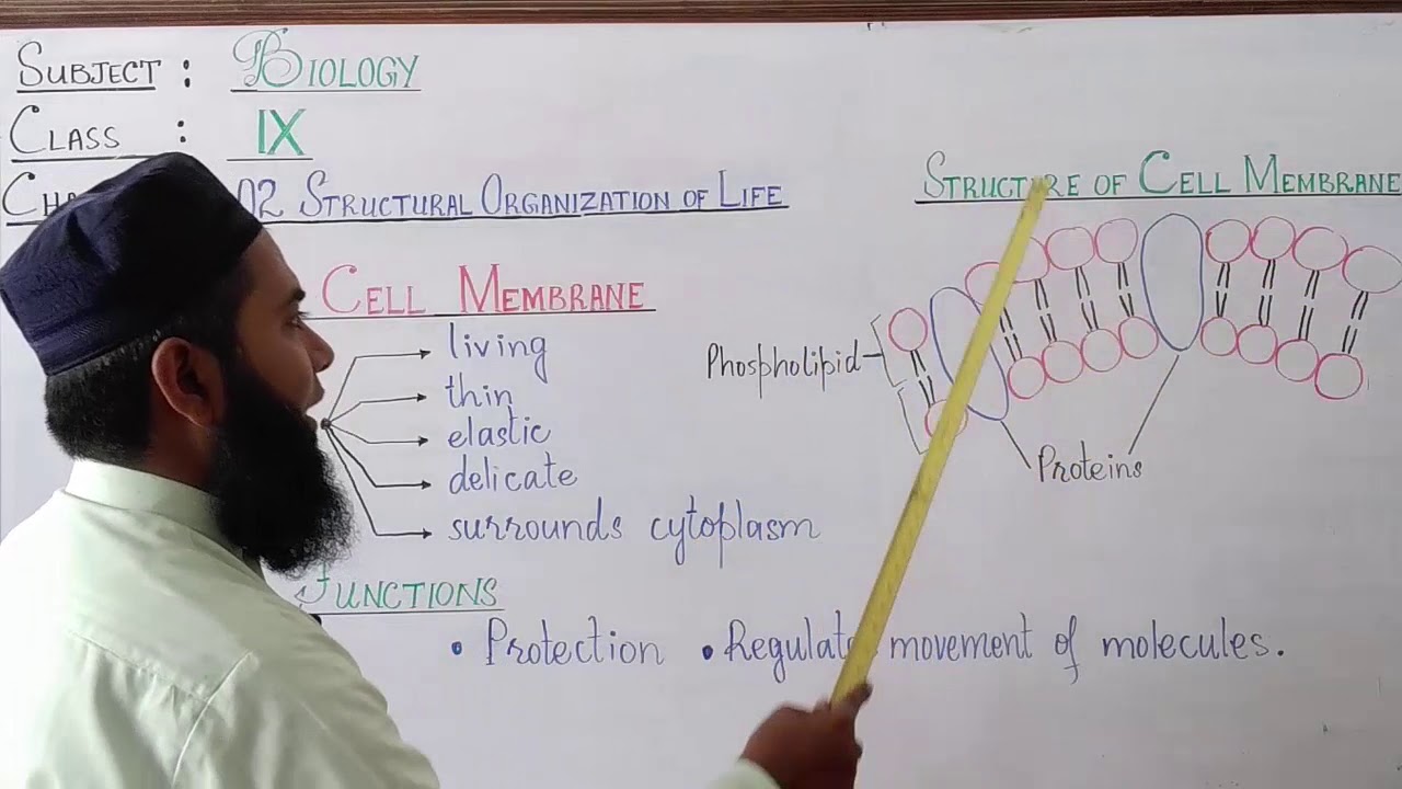 IX BIOLOGY LECTURE 11 Cell Membrane - YouTube