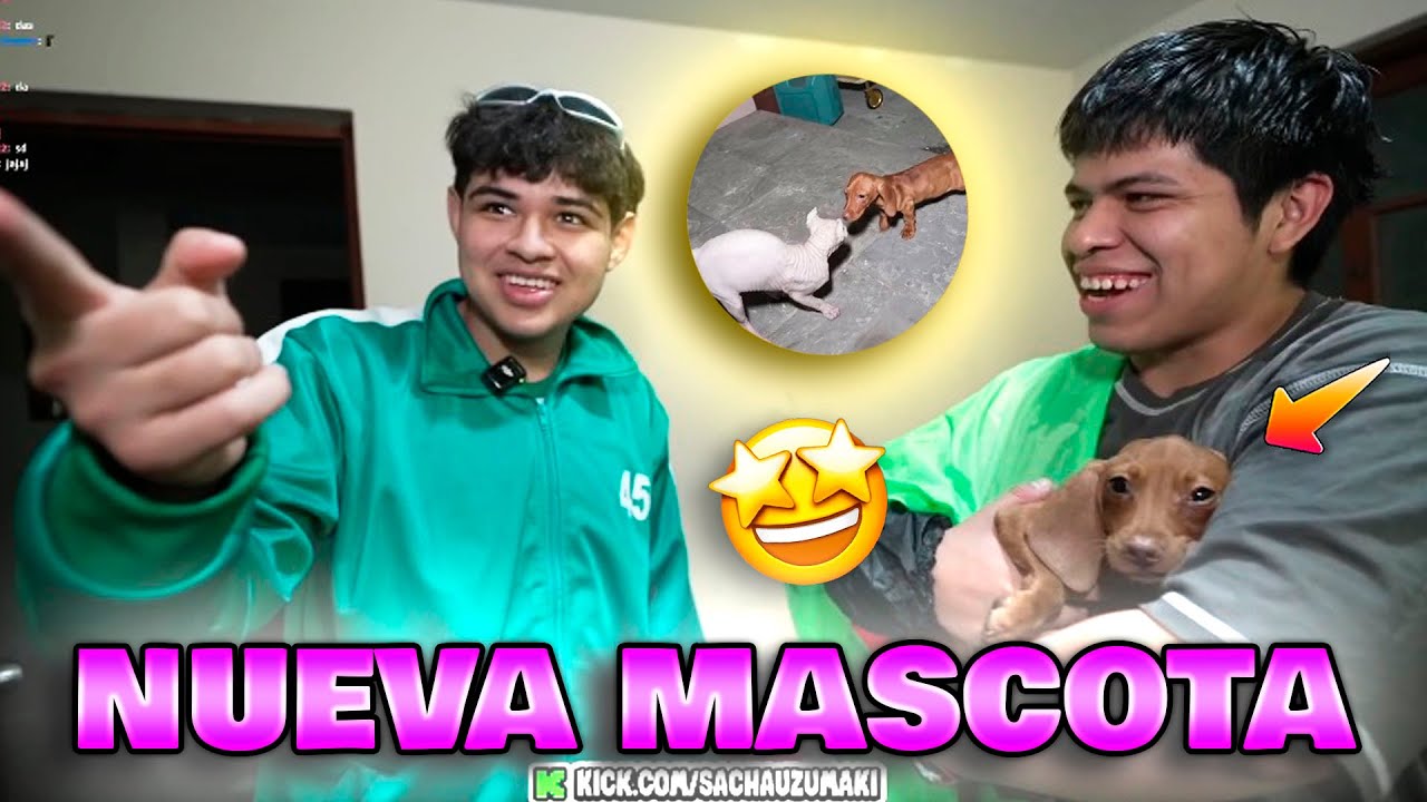 SACHA PRESENTA A SU PERRITO SALCHICHA 💥 SE LLAMA MOSTAZA.... 💥 - YouTube