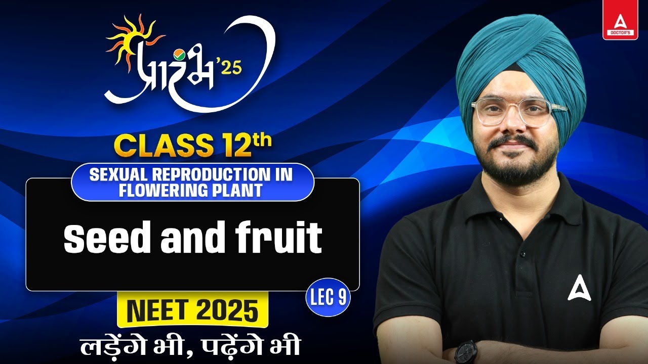 SEXUAL REPRODUCTION IN FLOWERING PLANTS CLASS 12 | SEED AND FRUIT ...