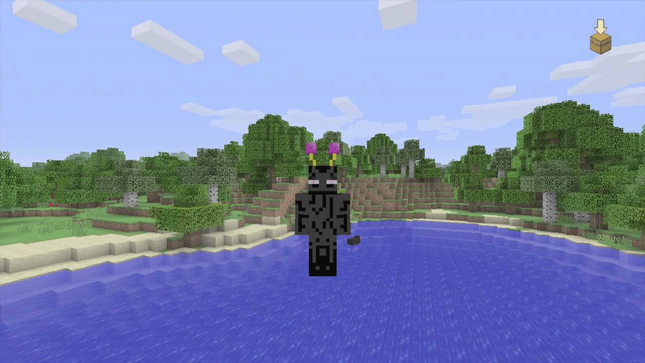 Minecraft 1st Birthday Skins Pack - YouTube