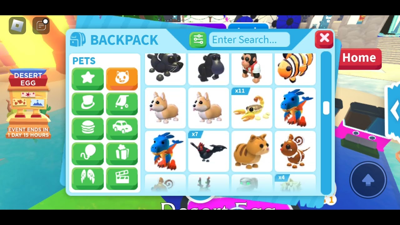 1 week inventory tour from 0 pets to this in a week - YouTube