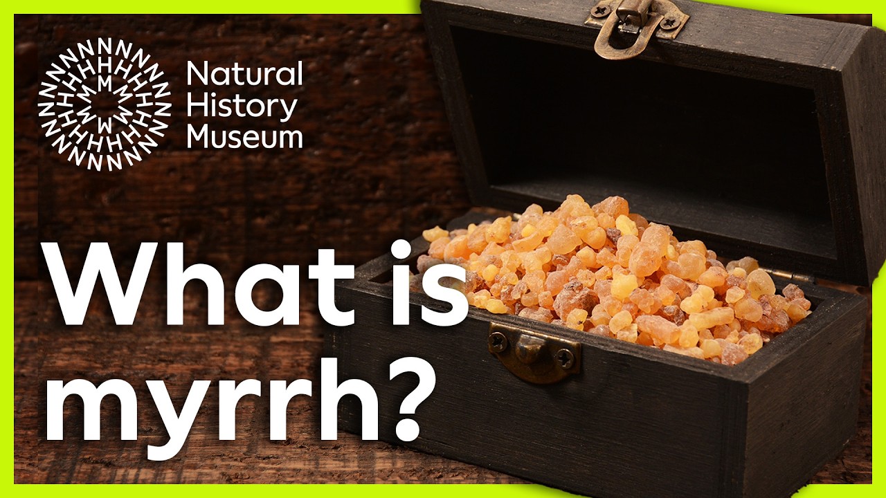 What is myrrh? | Surprising Science - YouTube