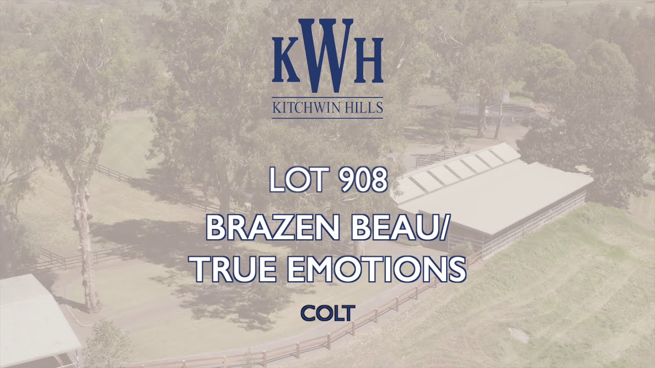 Lot 908 Brazen Beau xTrue Emotions Colt - YouTube