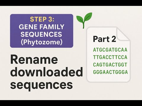 Step 3: Gene Family Sequences (Phytozome) 🌱Part Rename downloaded ...