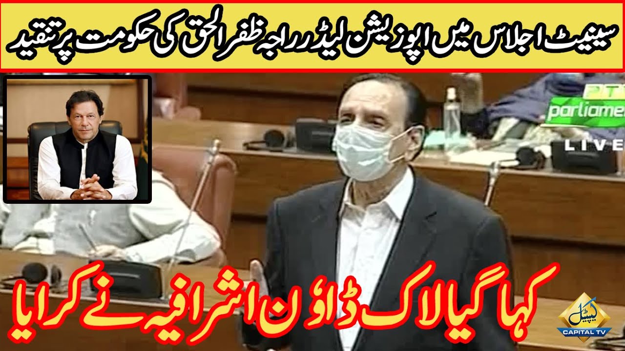 Opposition leader Raja Zafar-ul-Haq Speech in Senate Session Today | 12 ...