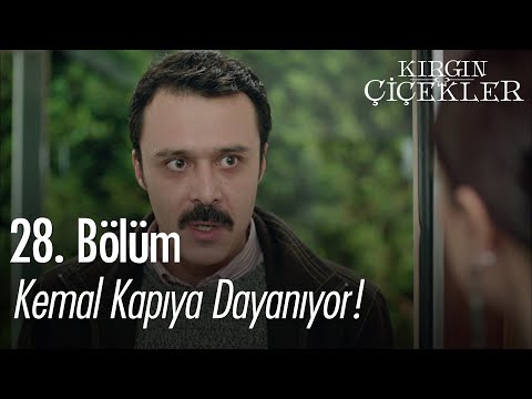 Kemal kapıya dayanıyor! - Kırgın Çiçekler 28. Bölüm