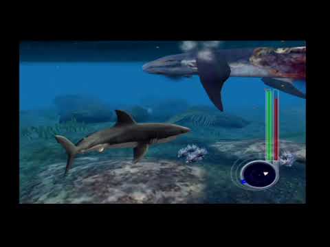 Jaws Unleashed: Giant Whale Carcass - YouTube