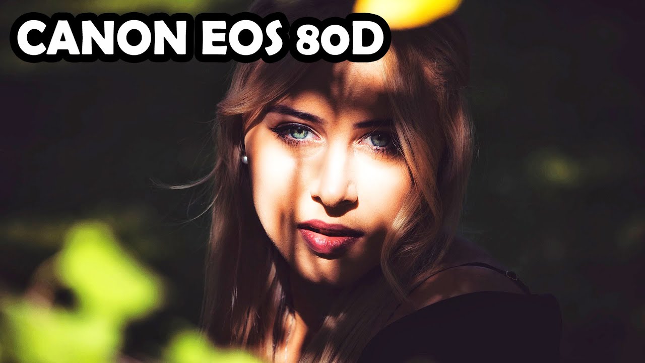 Canon EOS 80D DSLR Camera Photography - Sample Images - Royalty Free ...