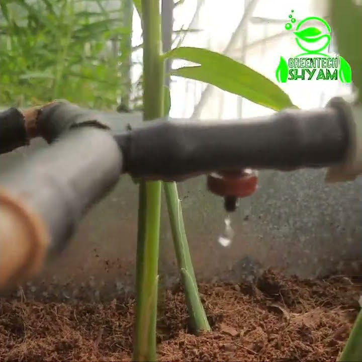 Netafim 4LPH Driperr. Netafim Drip Irrigation System India 2022 - YouTube