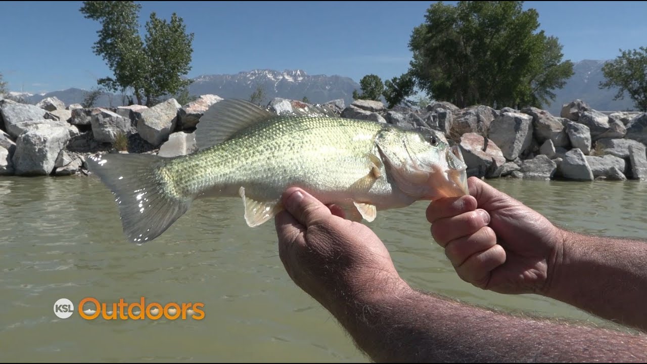 Utah Lake Fishing for Bass and Catfish - YouTube