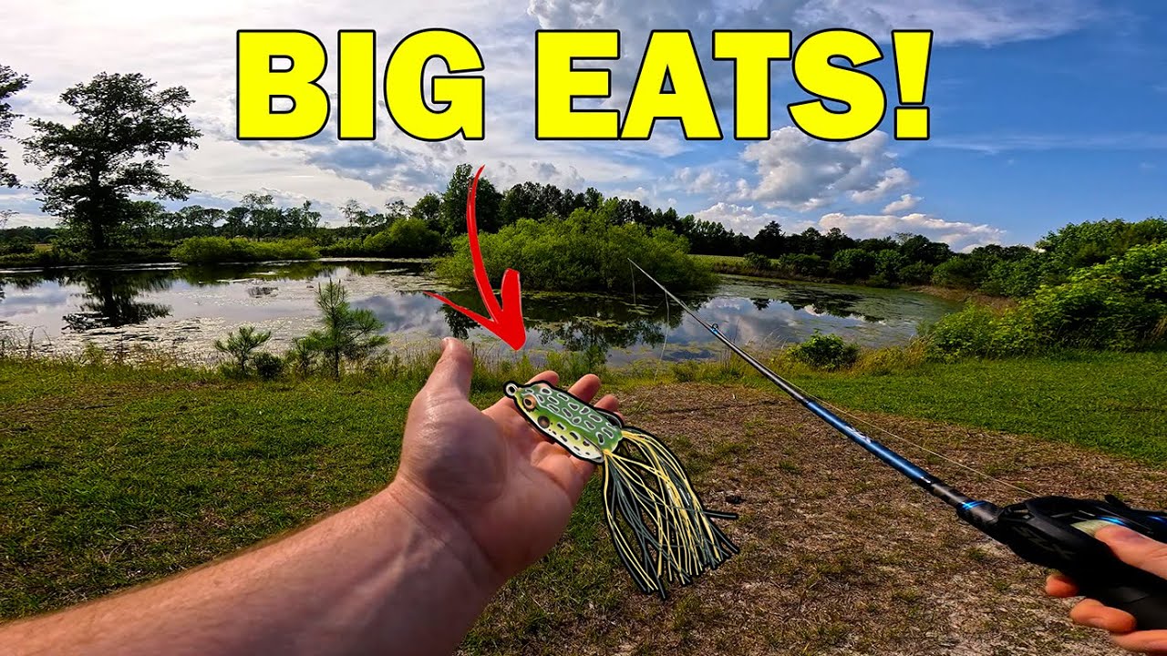 TOPWATER FROG fishing a small FARM POND (BIG EATS!) - YouTube