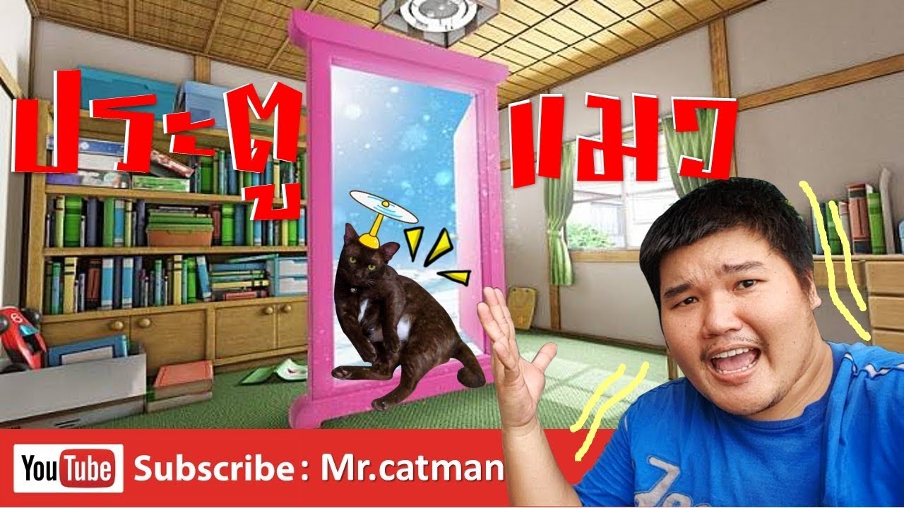 ประตูแมว | กันยุงไม่กันแมว | mr.catman - YouTube