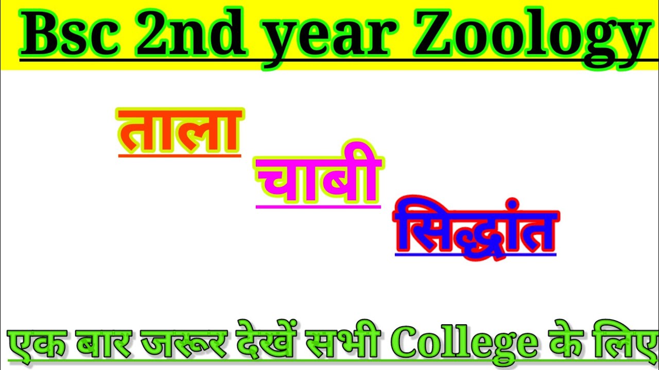 ताला चाबी सिद्धांत , lock and key theory, tala chabi Siddhant । Bsc 2nd ...