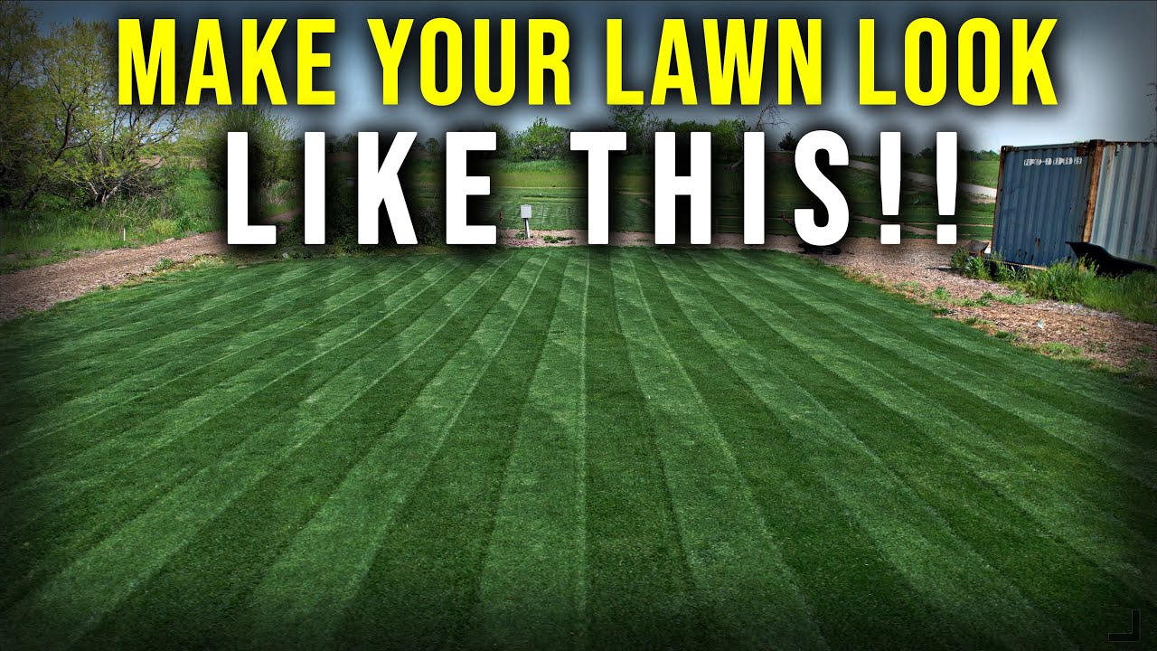Fix Your Damaged Lawn With Overseeding - YouTube