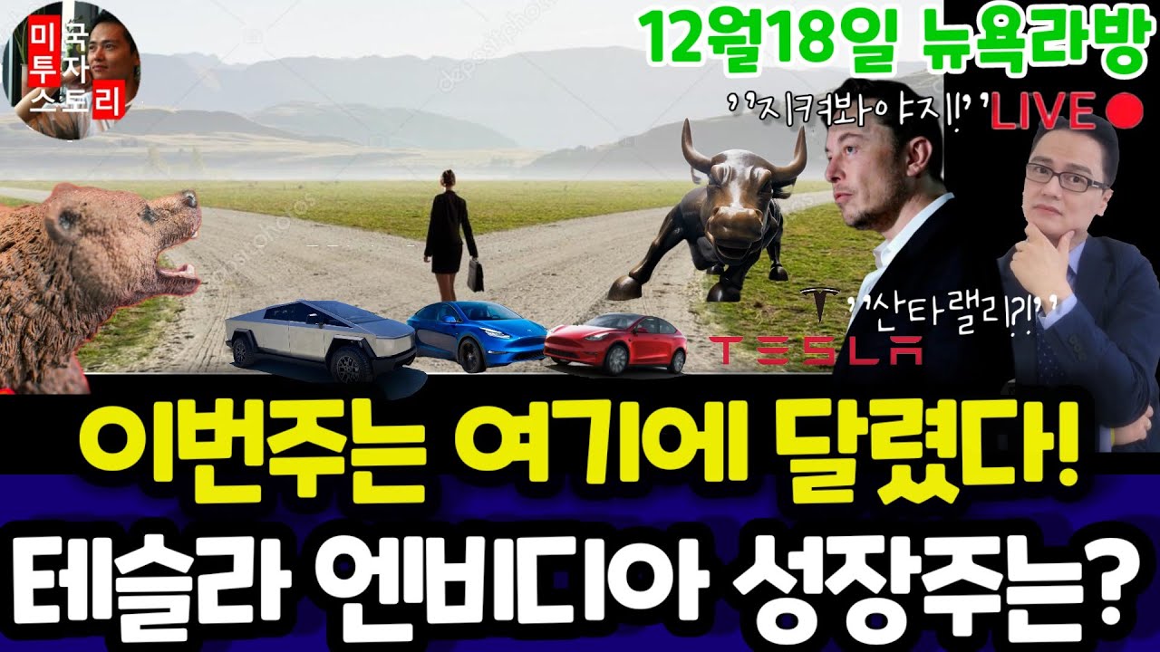 미국주식일본금리전기차 에너지 바이오 인공지능 반도체테슬라 엔비디아 구글 애플 아마존 메타 마이크로소프트 리비안 소파이