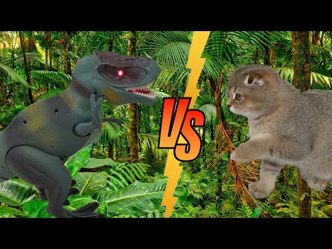 Cat vs Dinosaur