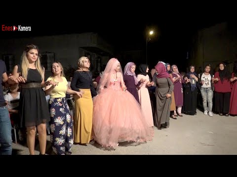 Hataylıların Düğünü 2021 Grani Ağır Delilo Oyun Havaları